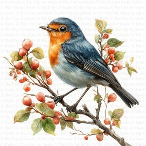 Spring Robin Clipart | 10 High Quality Jpgs | Digital Download | Card ...