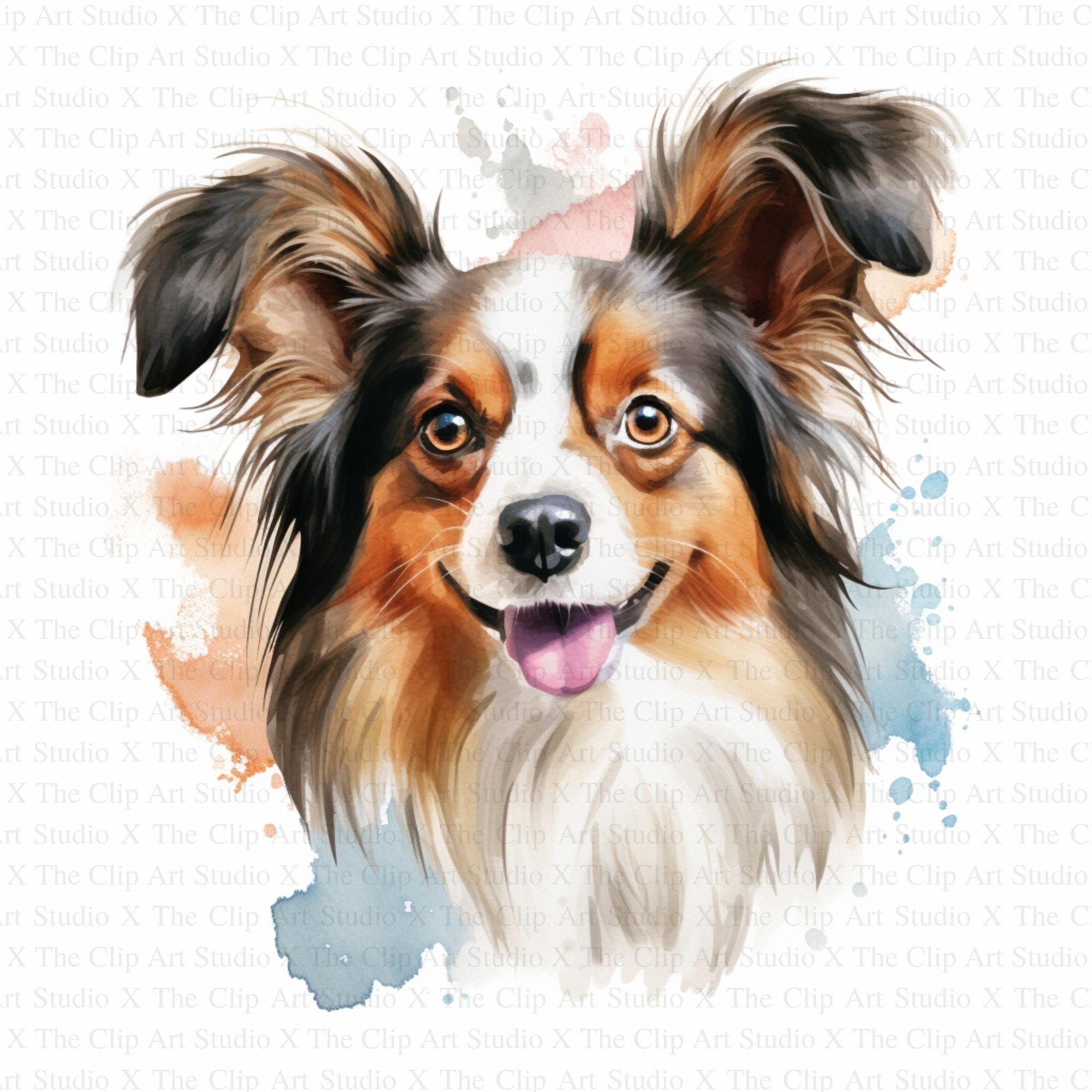 Papillon Clipart 10 High Quality Jpgs Digital Download Digital Planner ...