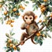 Watercolor Monkey Clipart | 10 High Quality Jpgs | Instant Digital ...