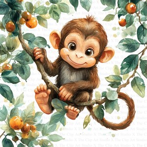 Watercolor Monkey Clipart | 10 High Quality Jpgs | Instant Digital ...