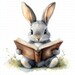 Bunny Reading Book Clipart | 10 High Quality Jpgs | Digital Download ...