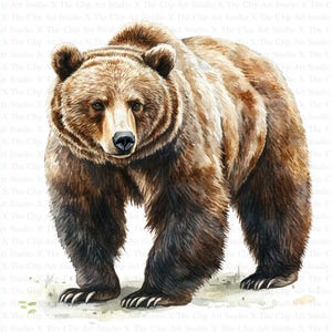 Grizzly Bear Clipart | 10 High Quality Jpgs | Digital Download | Card ...
