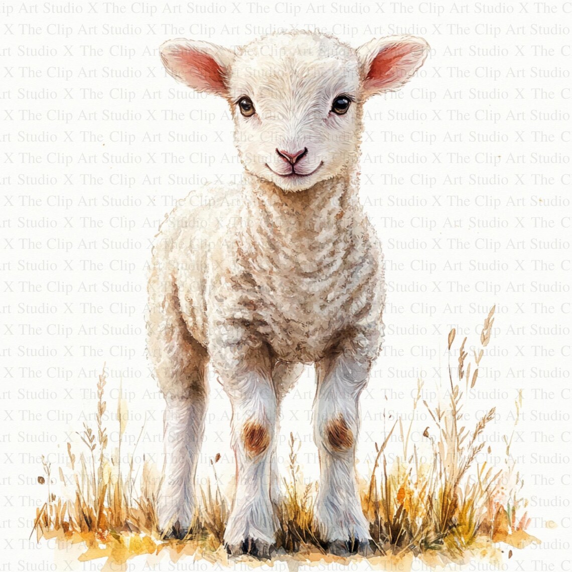 Lamb Clipart | 10 High Quality Jpgs | Instant Digital Download ...