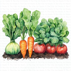 Vegetable Garden Clipart | 10 High Quality Jpgs | Digital Download ...