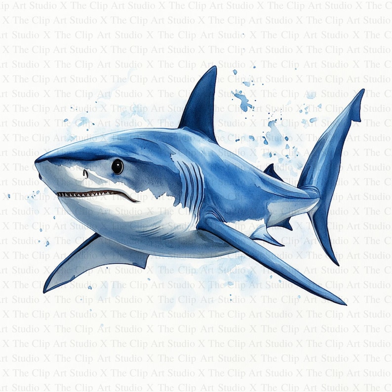 Watercolor Shark Clipart 10 High Quality Jpgs Digital Download Card ...