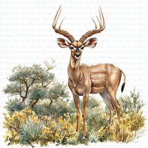 Great Kudu Clipart | 10 High Quality Jpgs | Instant Digital Download ...