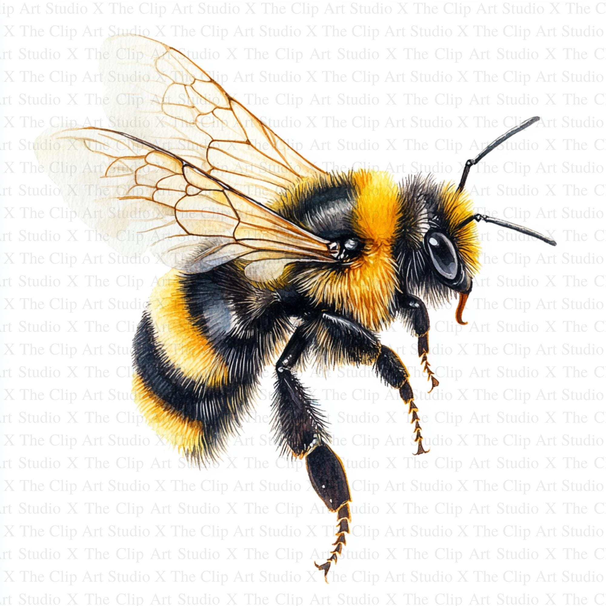 Buzzing Bees Clipart | 10 High Quality Jpgs | Digital Download ...