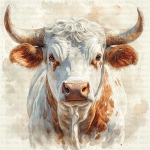 Bull Clipart | 10 High Quality Jpgs | Instant Digital Download | Card ...