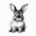 Bunny Black White Clipart | 10 High Quality Jpgs | Digital Download ...