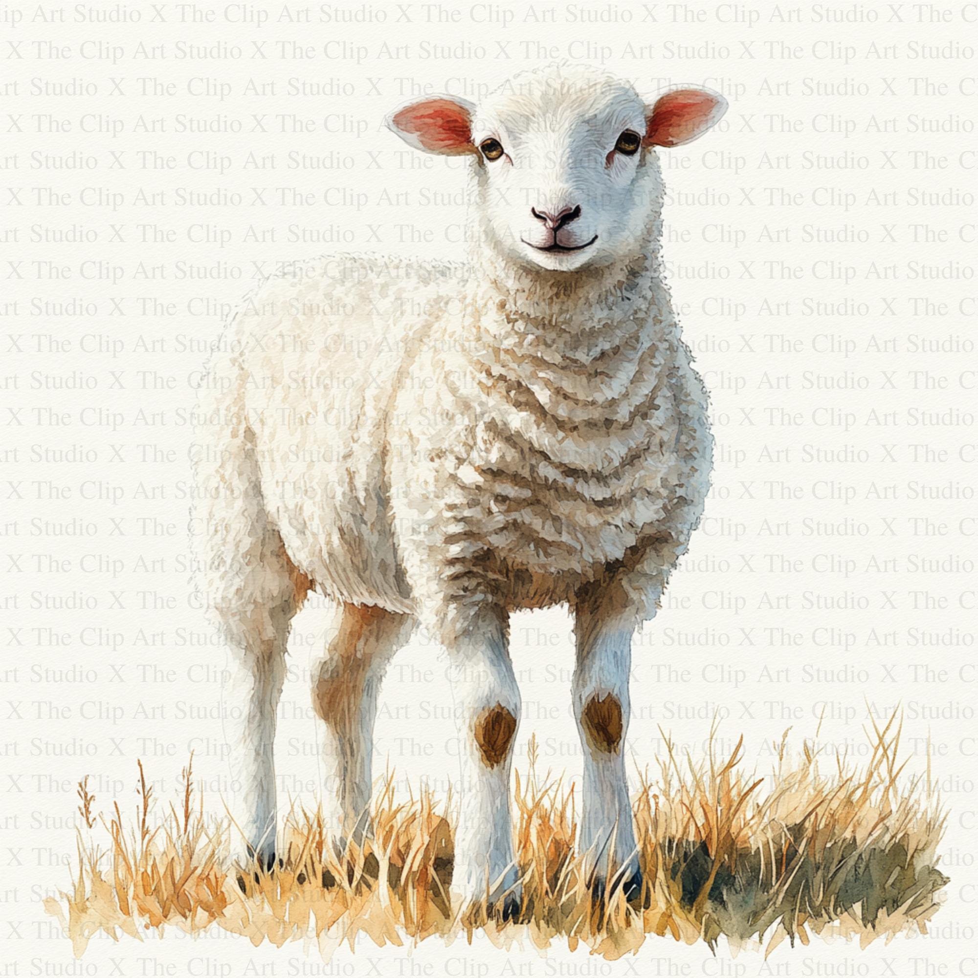 Lamb Clipart | 10 High Quality Jpgs | Instant Digital Download ...