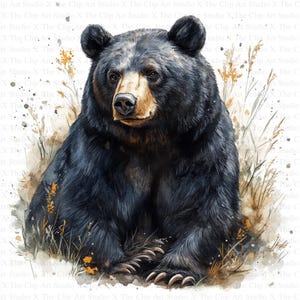 Watercolor Black Bear Clipart | 10 High Quality Jpgs | Digital Download ...