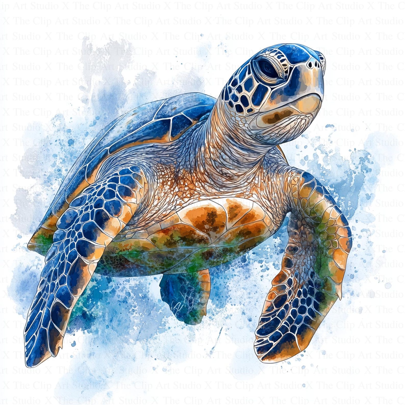Sea Turtle Clipart | 10 High Quality Jpgs | Digital Download | Marine ...