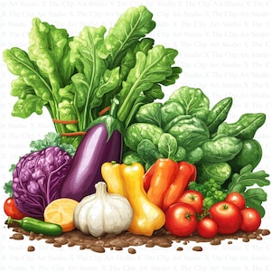 Vegetable Garden Clipart | 10 High Quality Jpgs | Digital Download ...