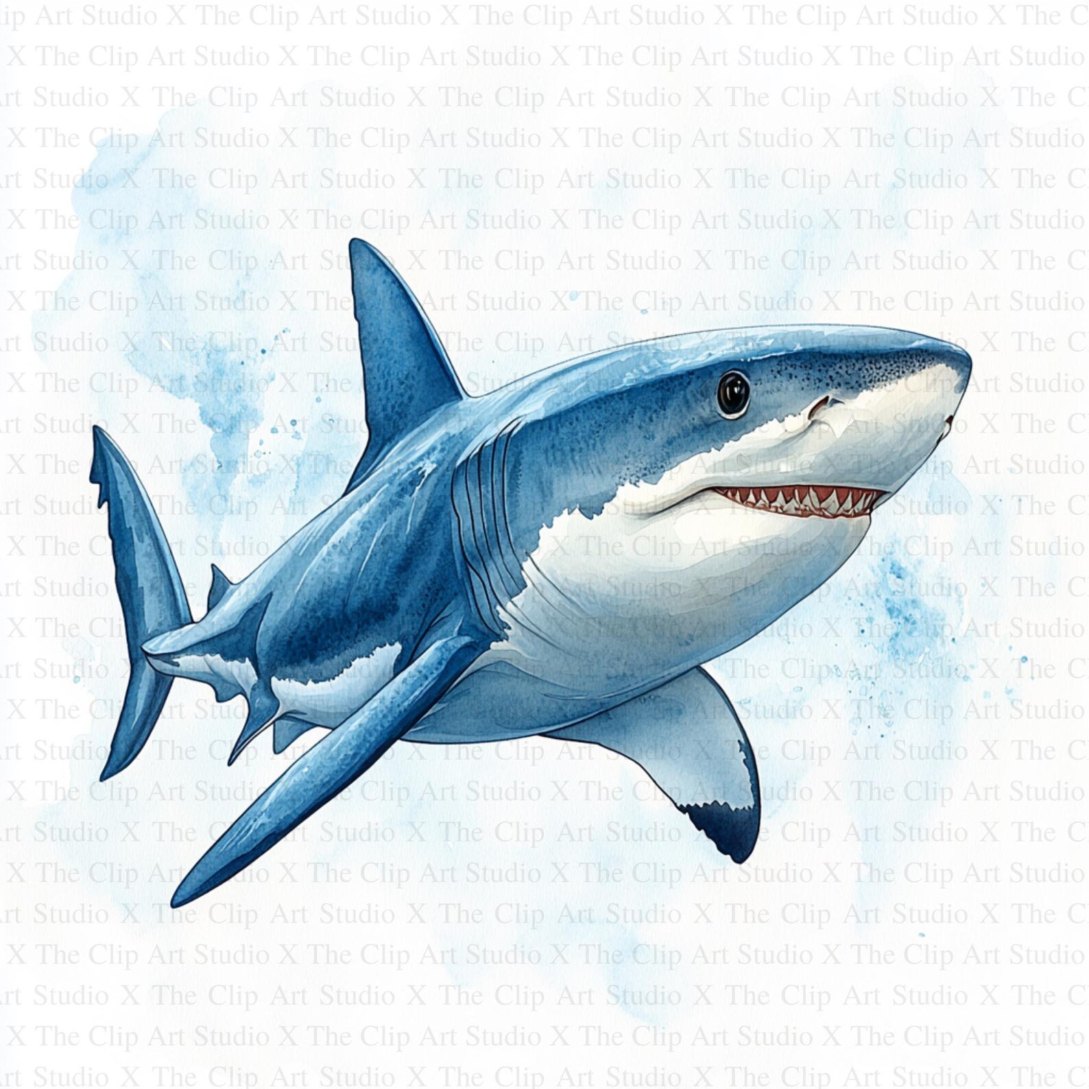Watercolor Shark Clipart 10 High Quality Jpgs Digital Download Card ...