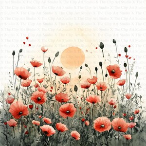 Sunset Poppy Fields Clipart | 10 High Quality Jpgs | Digital Download ...