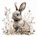Bunny Black Ink Clipart | 10 High Quality Jpgs | Instant Digital ...