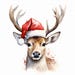 Deer With Santa Hat Clipart | 10 High Quality JPG | Digital Download ...