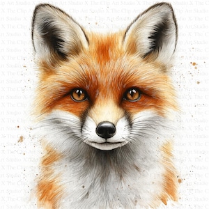 Watercolor Cute Foxes Clipart | 10 High Quality Jpgs | Digital Download ...