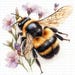 Watercolor Bumblebee Clipart | 10 High Quality Jpgs | Instant Digital ...
