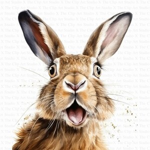Surprised Hare Clipart | 10 High Quality Jpgs | Digital Download | Junk ...
