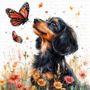 Watercolor Dachshund & Butterflies Clipart | 10 High Quality Jpgs ...