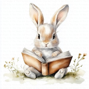 Bunny Reading Book Clipart | 10 High Quality Jpgs | Digital Download ...