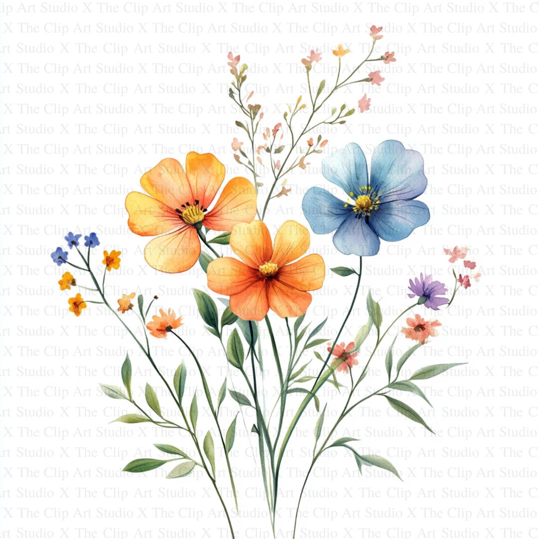 Whimsical Flowers Clipart | 10 High Quality Jpgs | Digital Download ...
