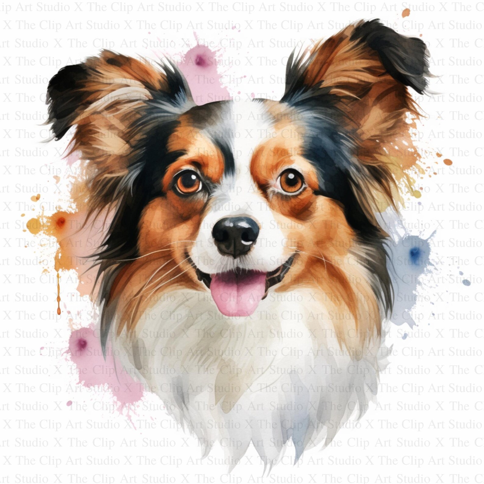 Papillon Clipart 10 High Quality Jpgs Digital Download Digital Planner ...