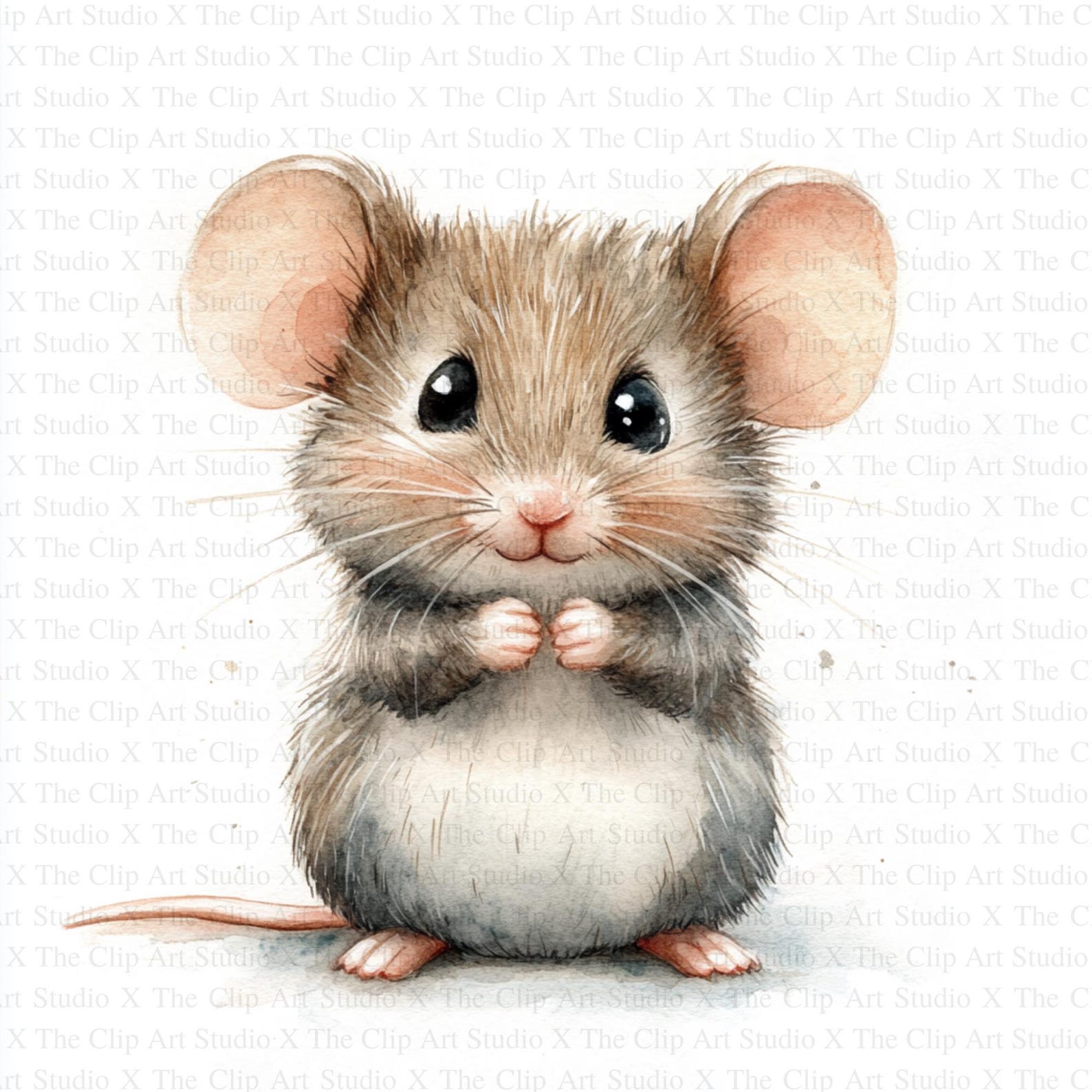 Cute Mouse Clipart | 10 High Quality Jpgs | Instant Digital Download ...