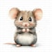 Cute Mouse Clipart | 10 High Quality Jpgs | Instant Digital Download ...