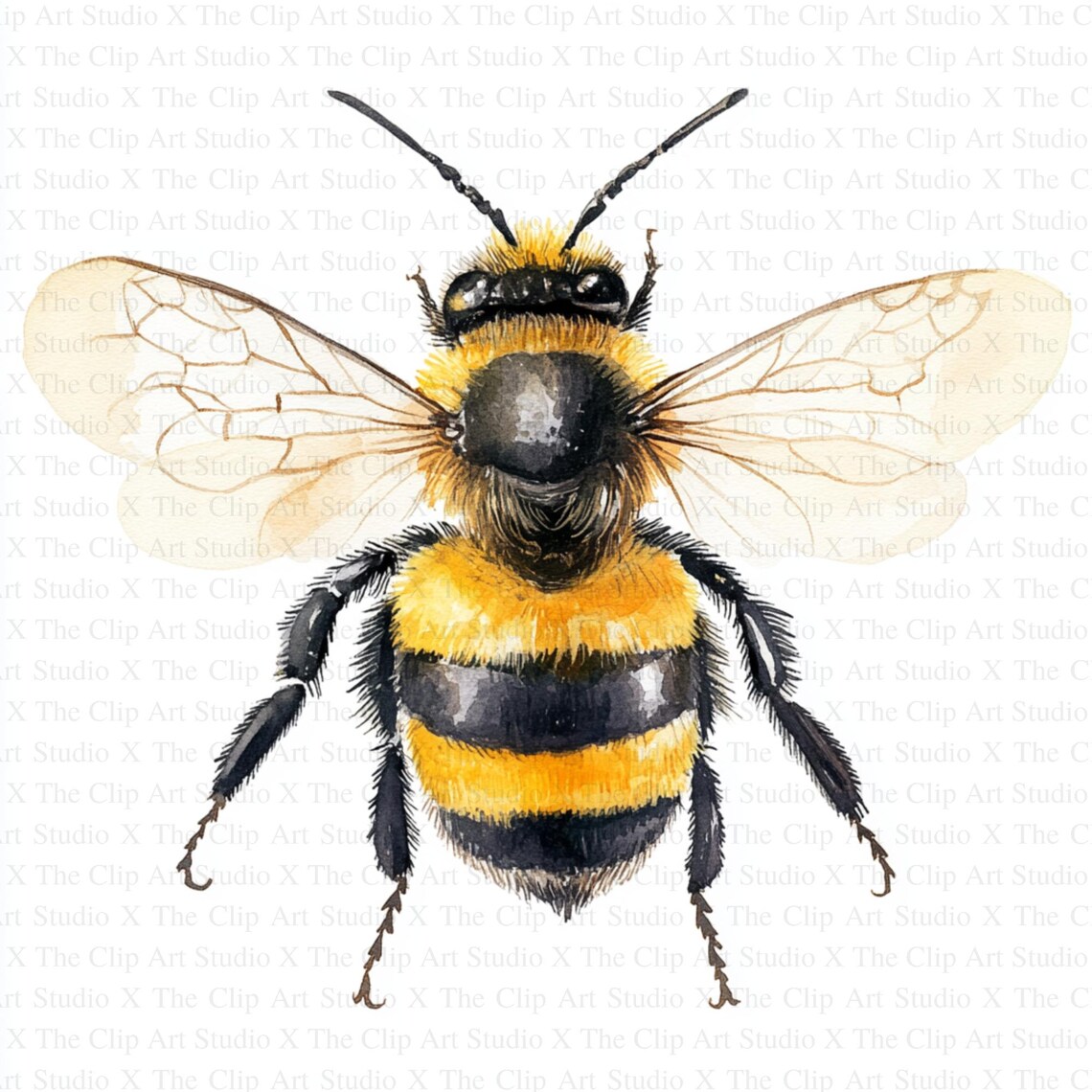 Watercolor Bumblebee Clipart | 10 High Quality Jpgs | Instant Digital ...