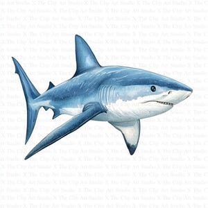 Watercolor Shark Clipart | 10 High Quality Jpgs | Digital Download ...