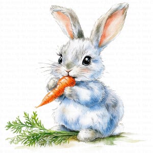Bunny With Carrot Clipart | 10 High Quality Jpgs | Digital Download ...