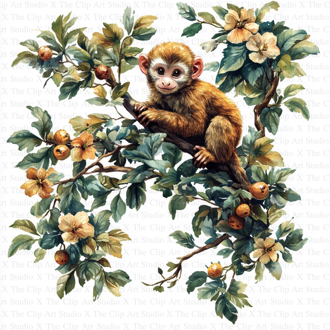 Watercolor Monkey Clipart | 10 High Quality Jpgs | Instant Digital ...