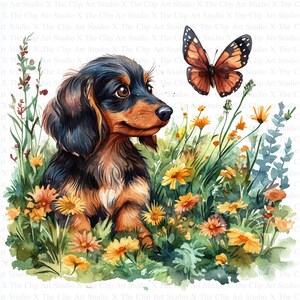 Watercolor Dachshund & Butterflies Clipart | 10 High Quality Jpgs ...