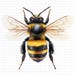 Watercolor Bumblebee Clipart | 10 High Quality Jpgs | Instant Digital ...