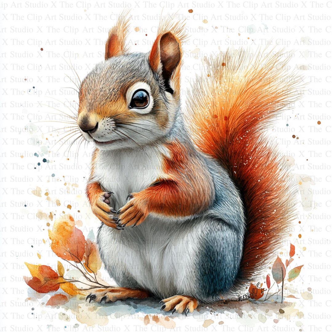 Watercolor Squirrels Clipart | 10 High Quality Jpgs | Instant Digital ...