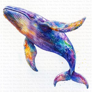 Whale Clipart | 10 High Quality Jpgs | Digital Download | Nursery Art ...