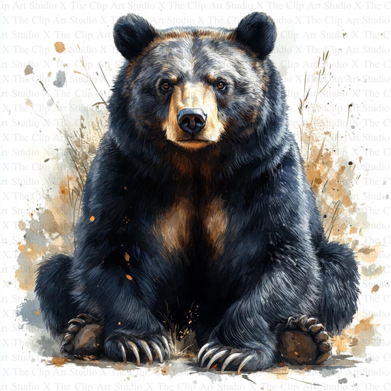 Watercolor Black Bear Clipart 10 High Quality Jpgs Digital Download ...