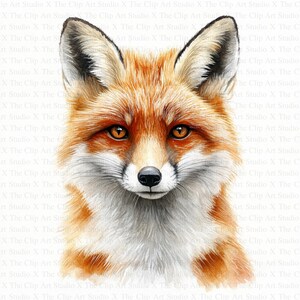 Watercolor Cute Foxes Clipart | 10 High Quality Jpgs | Digital Download ...