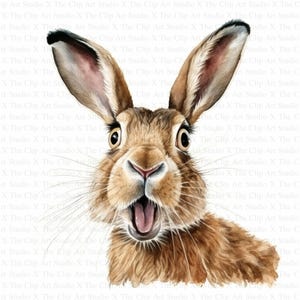 Surprised Hare Clipart | 10 High Quality Jpgs | Digital Download | Junk ...