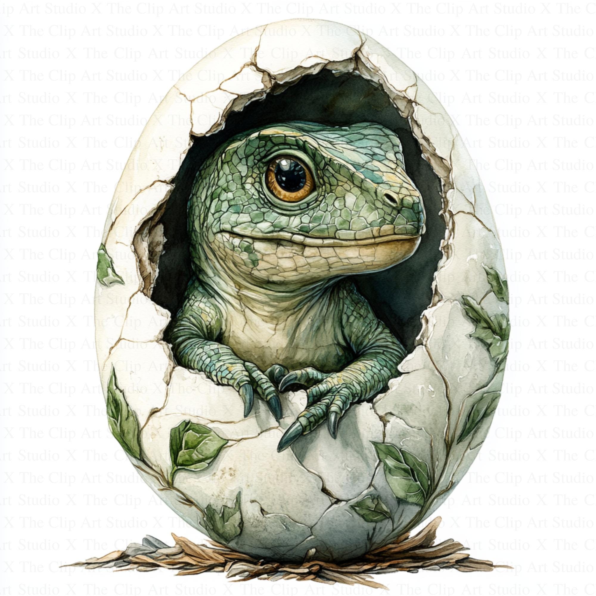 Dinosaur Hatching Clipart | 10 High Quality Jpgs | Digital Download ...