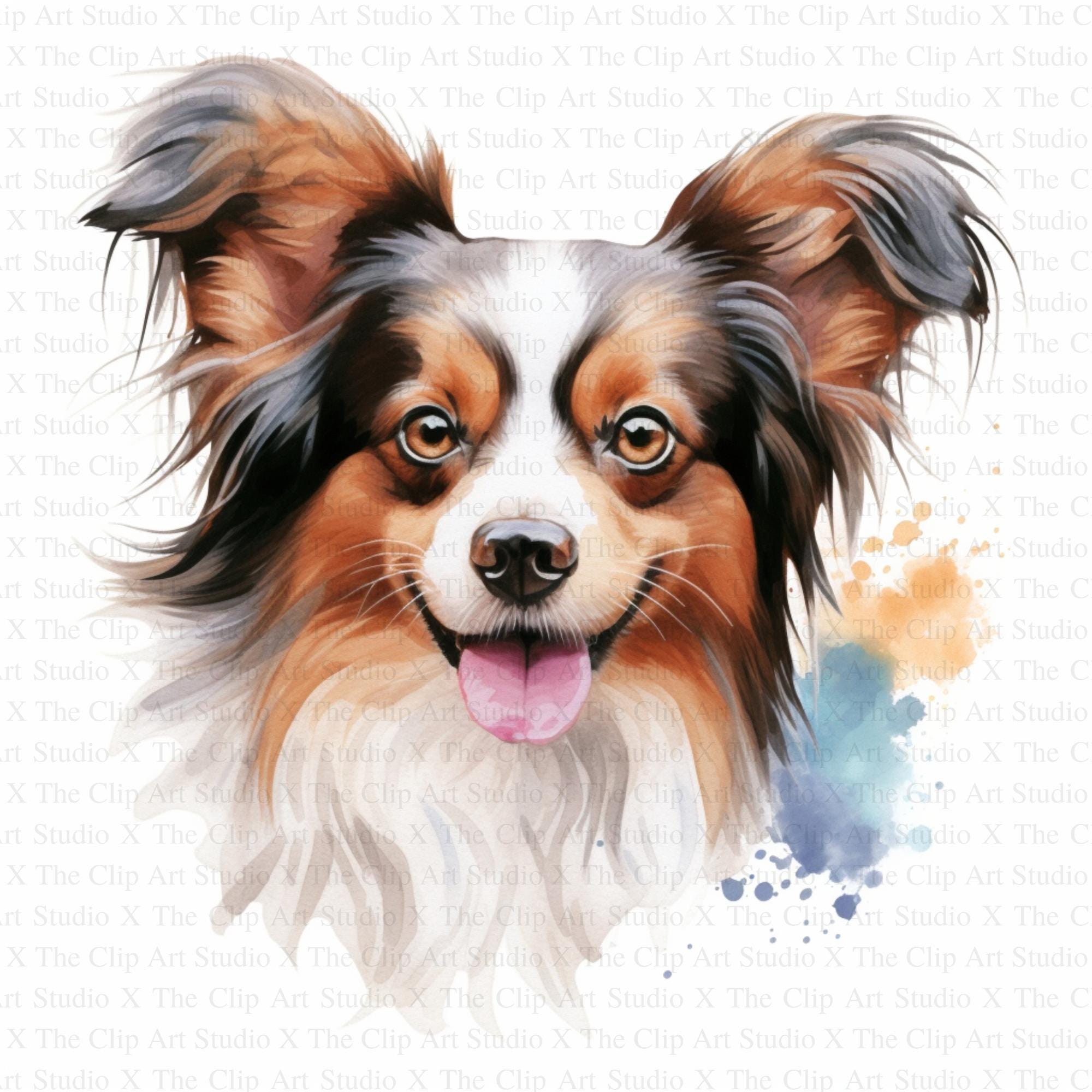 Papillon Clipart 10 High Quality Jpgs Digital Download Digital Planner ...