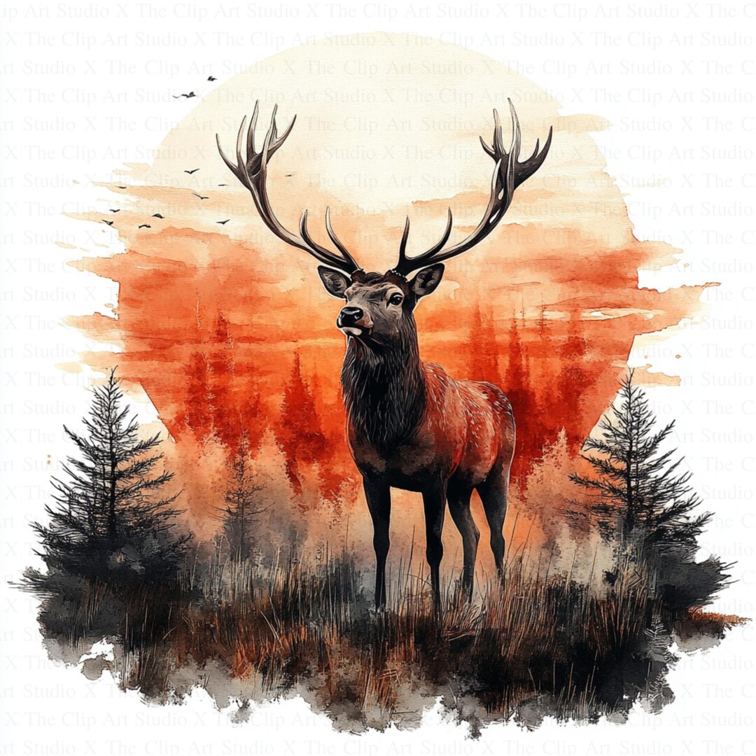 Red Deer in Sunset Clipart | 10 High Quality Jpgs | Digital Download ...
