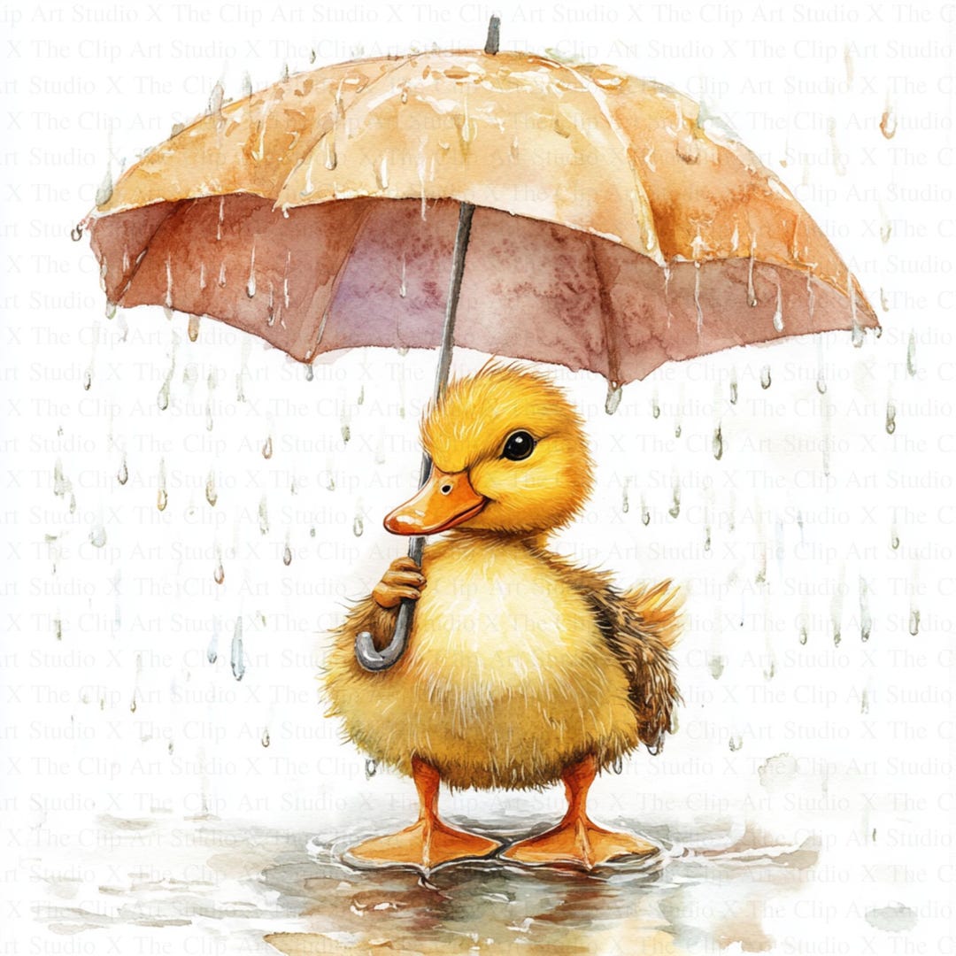 Duckling in Rain Clipart | 10 High Quality Jpgs | Digital Download ...