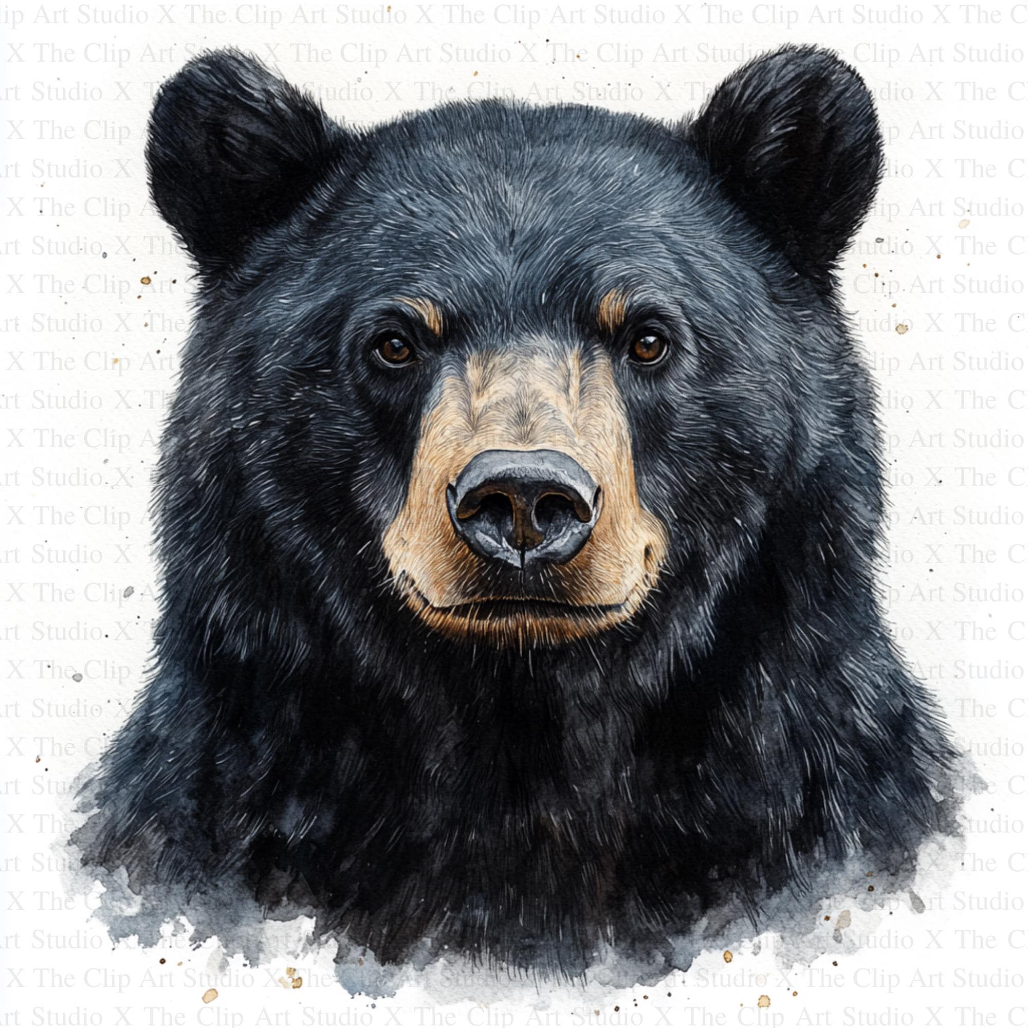 Watercolor Black Bear Clipart 10 High Quality Jpgs Digital Download ...