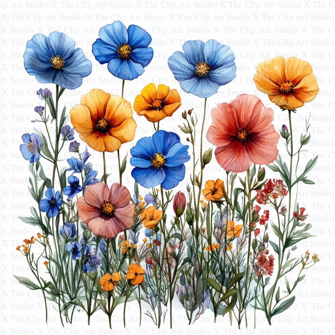 Watercolor Wildflowers Clipart 10 High Quality Jpgs Digital Download ...