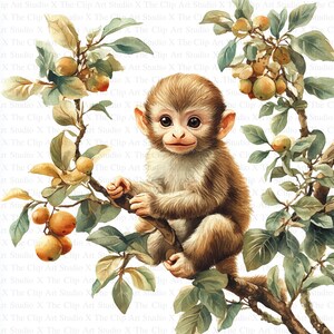 Watercolor Monkey Clipart | 10 High Quality Jpgs | Instant Digital ...