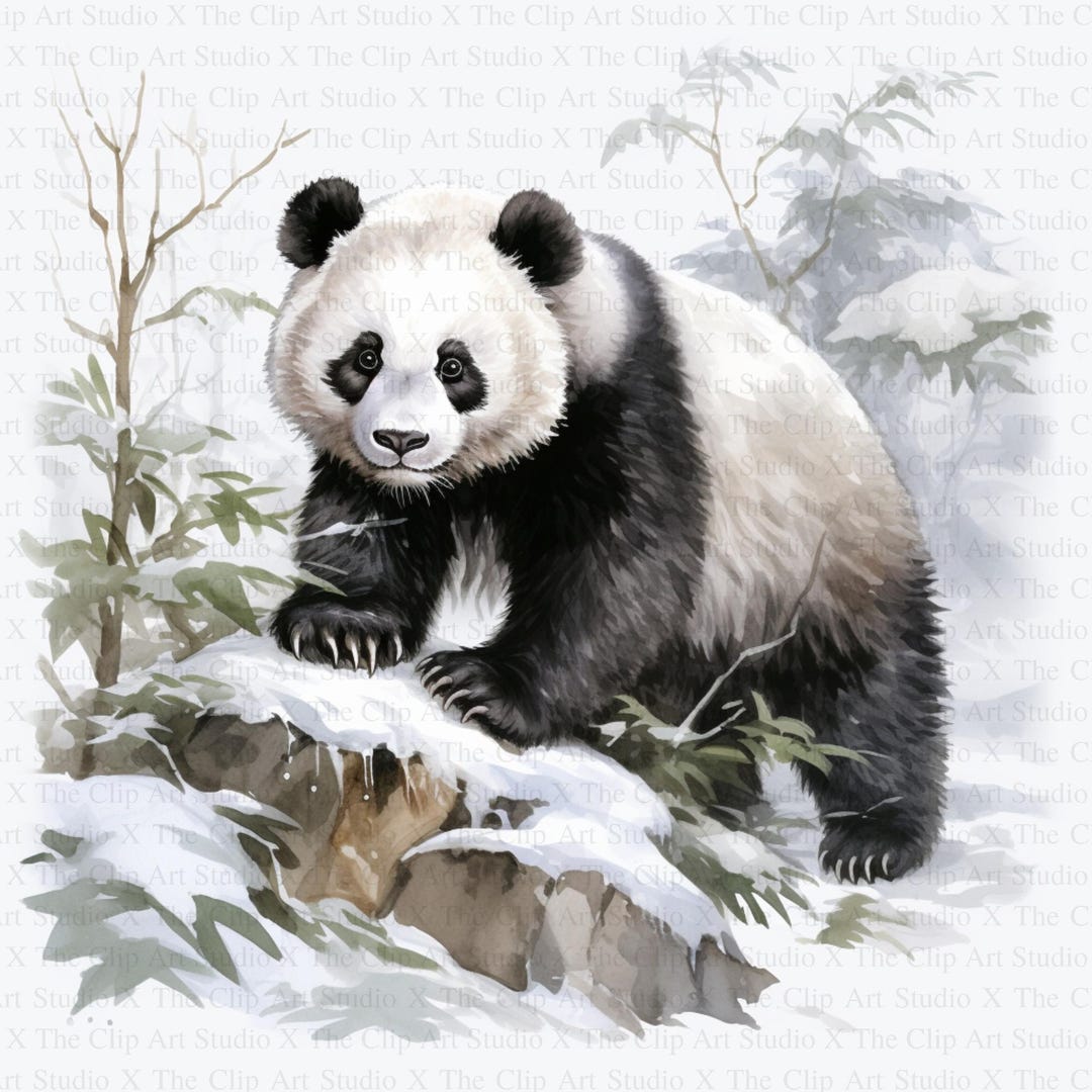 Panda Clipart | 10 High Quality Jpgs | Digital Download | Card Making ...