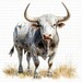 Bull Clipart | 10 High Quality Jpgs | Instant Digital Download | Card ...